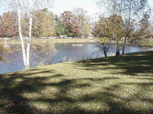 Research | Michael F Young